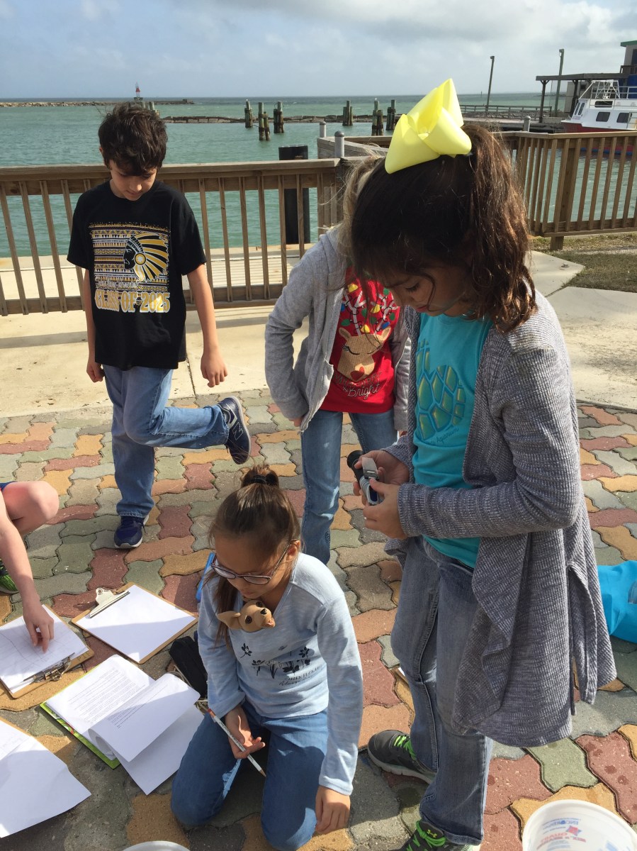 Go STEM Go! – Salt Water in My Veins